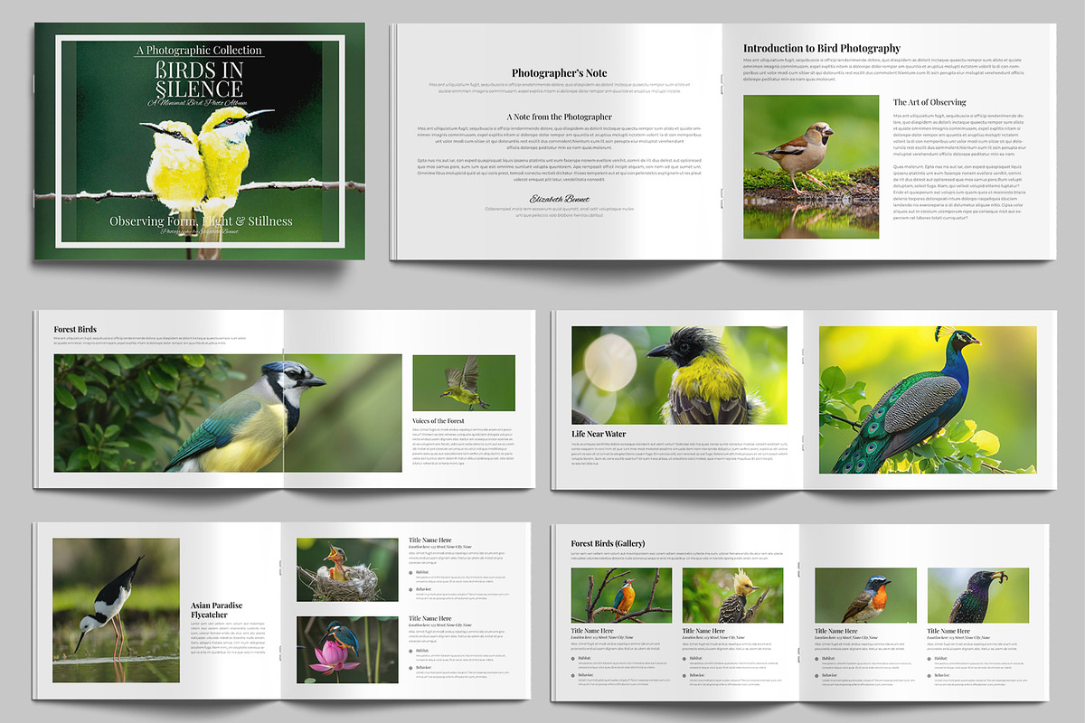 Professional Photo Album Design