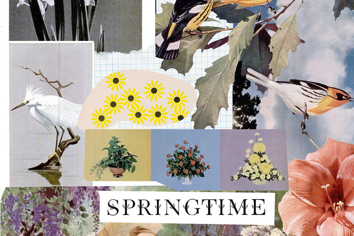 Vintage Collage Ultimate Pack, an Object Graphic by Kaleriia