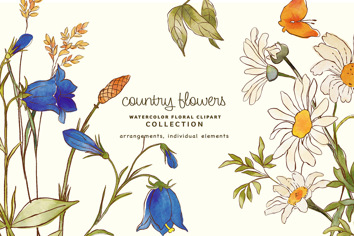 Country Flowers Watercolor Daisy, a Decorative Illustration by Pink ...