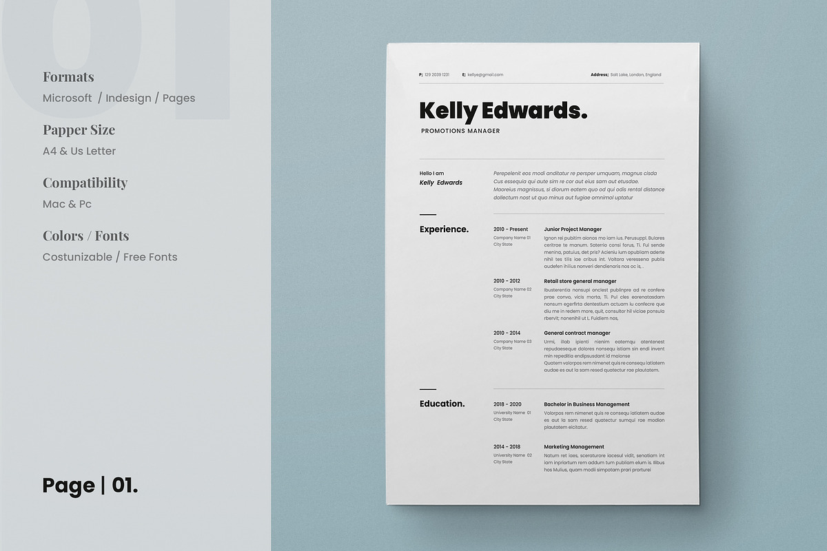 Cv Template Word