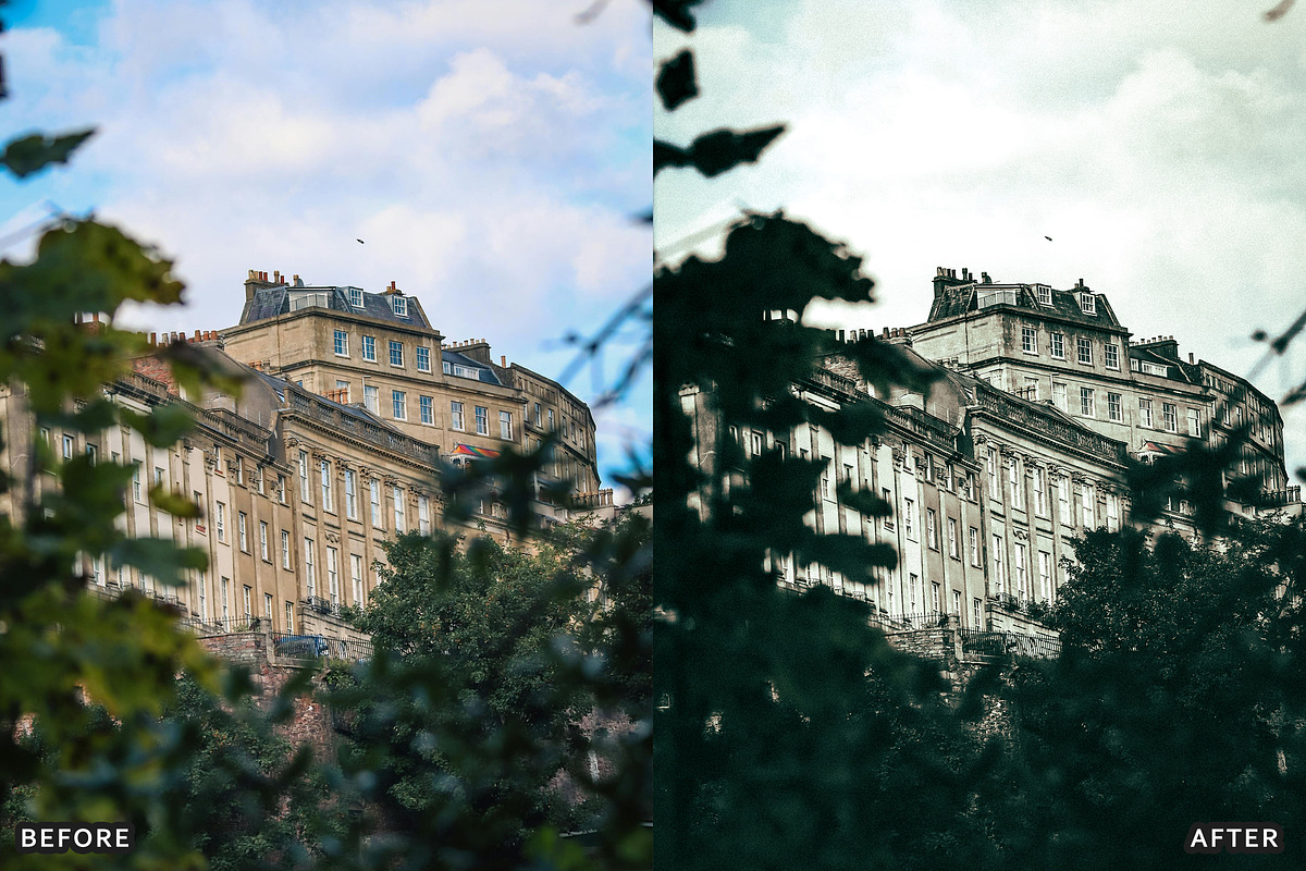 AI-Optimized Rich Black and White Lightroom Presets