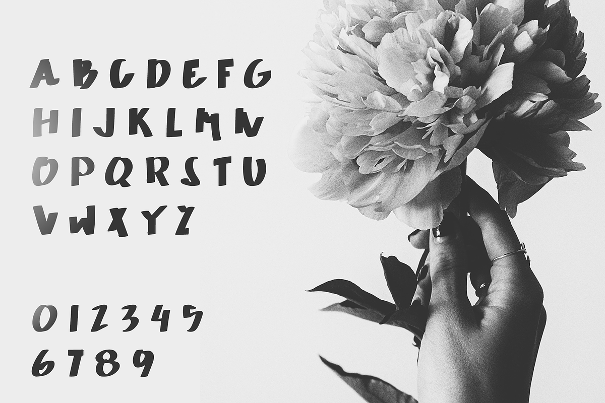 Wedix Font