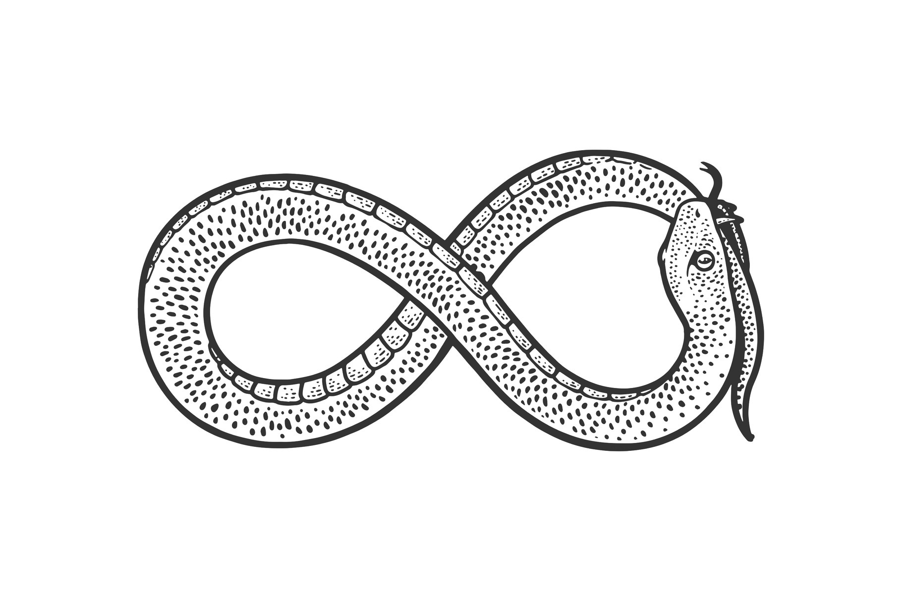 snake infinity sign sketch vector, an Animal Illustration by AlexArt