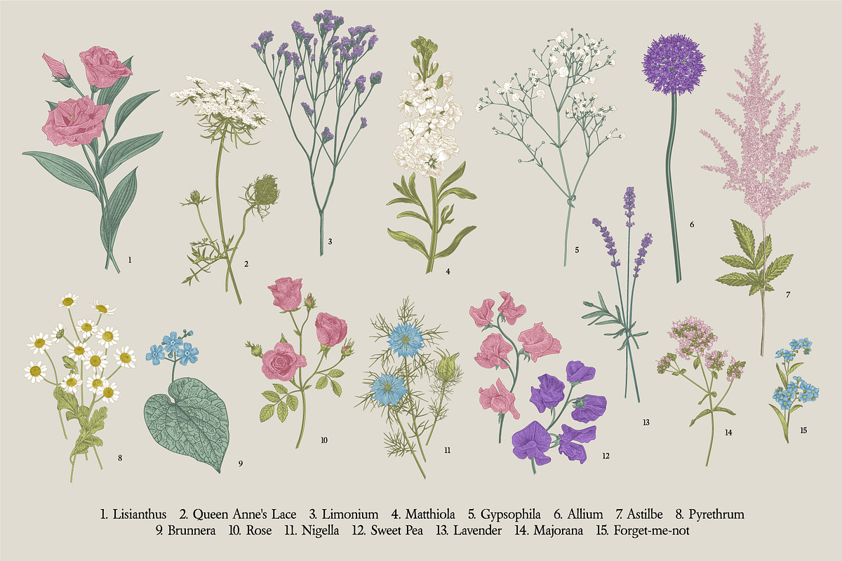 Hello Summer. Rustic Wedding, an Illustration by olga.korneeva ...