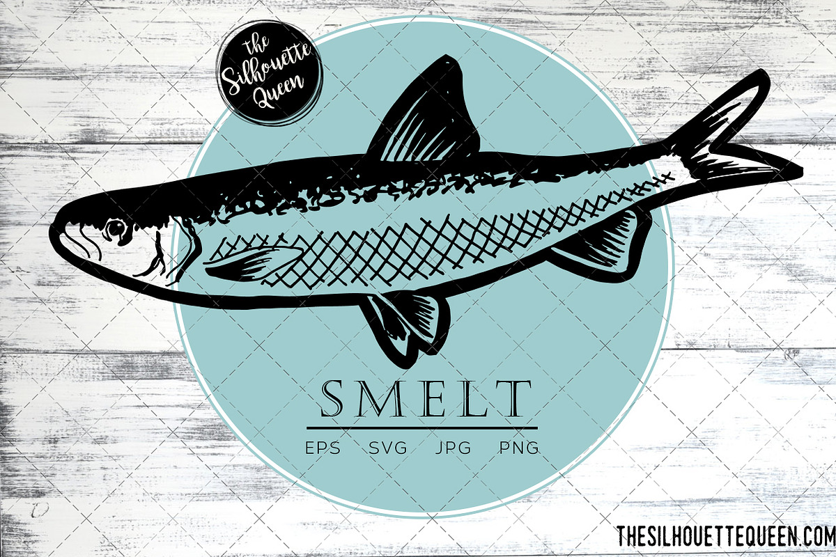 Hand drawn, Sketched Smelt Fish, an Animal Illustration by The ...
