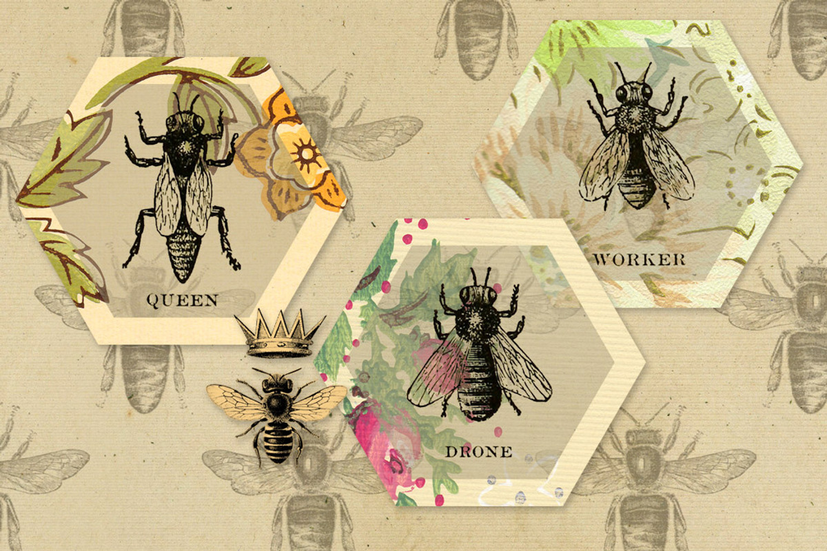 Vintage Honey Bee Digital Paper, a Pattern Graphic by Digital Curio