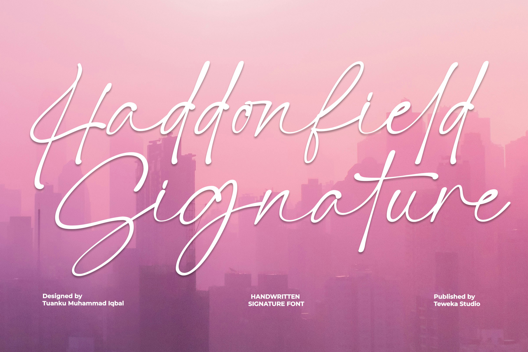 Haddonfield Signature, a Handwritten Font by Teweka