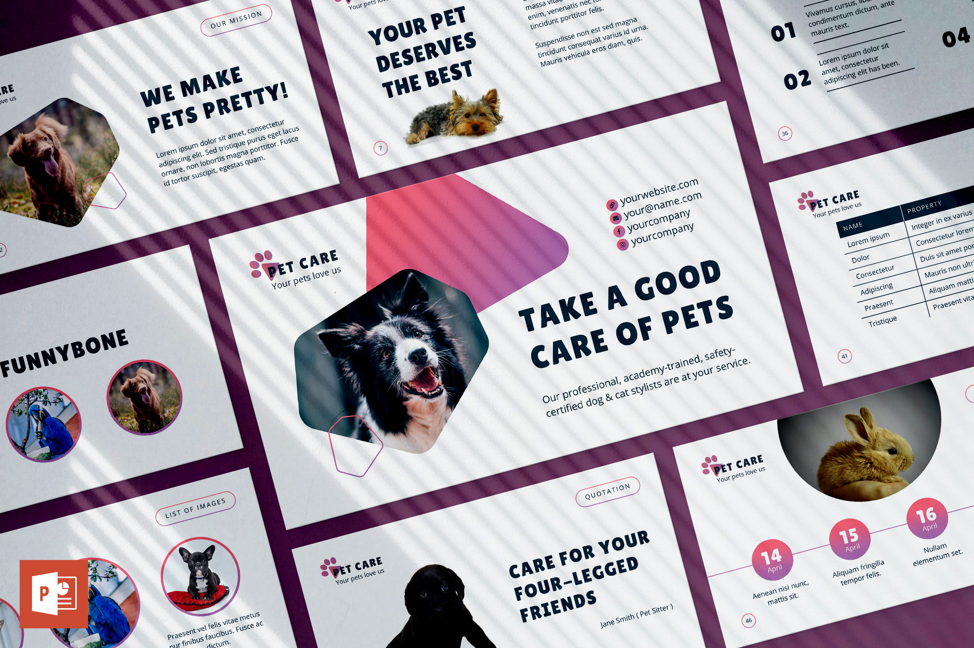 Presentation Pet Care, a Presentation Template by TemplatesNow!