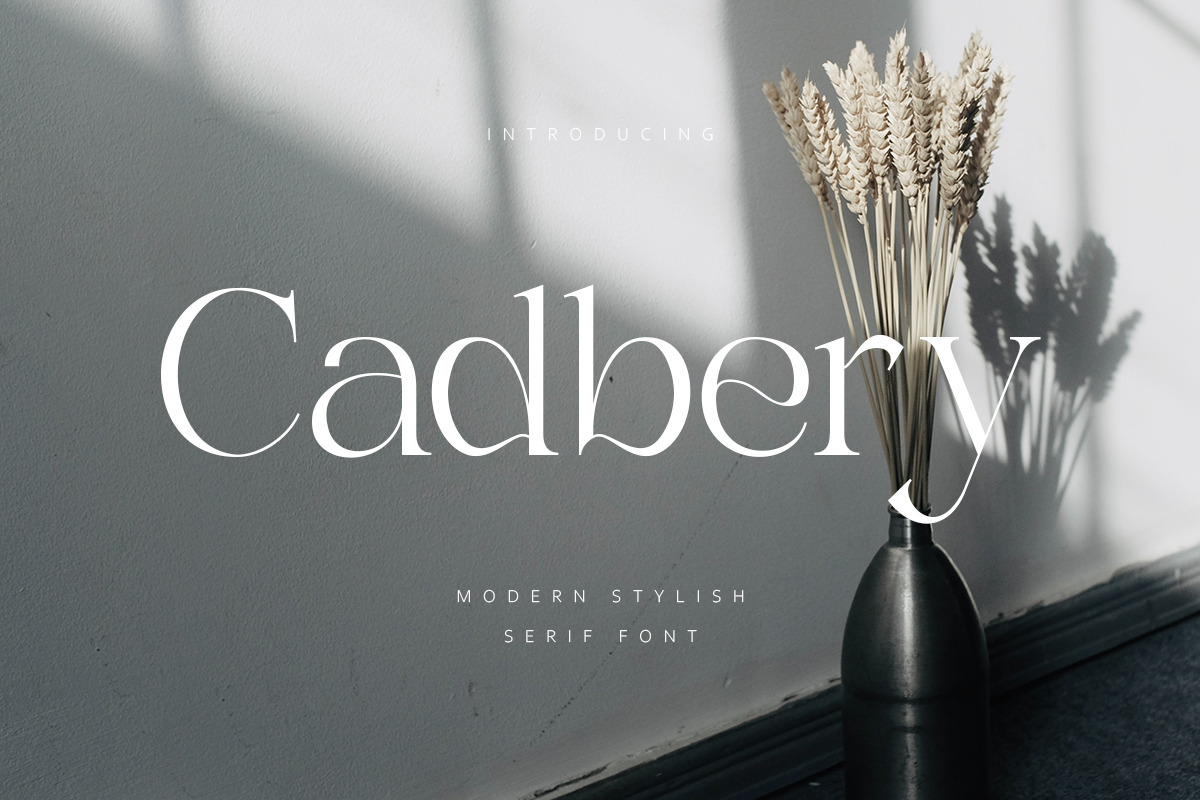 Cadbury | Modern Serif, a Serif Font by Muntab_Art