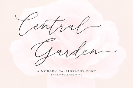 fadelya script | Script Fonts ~ Creative Market