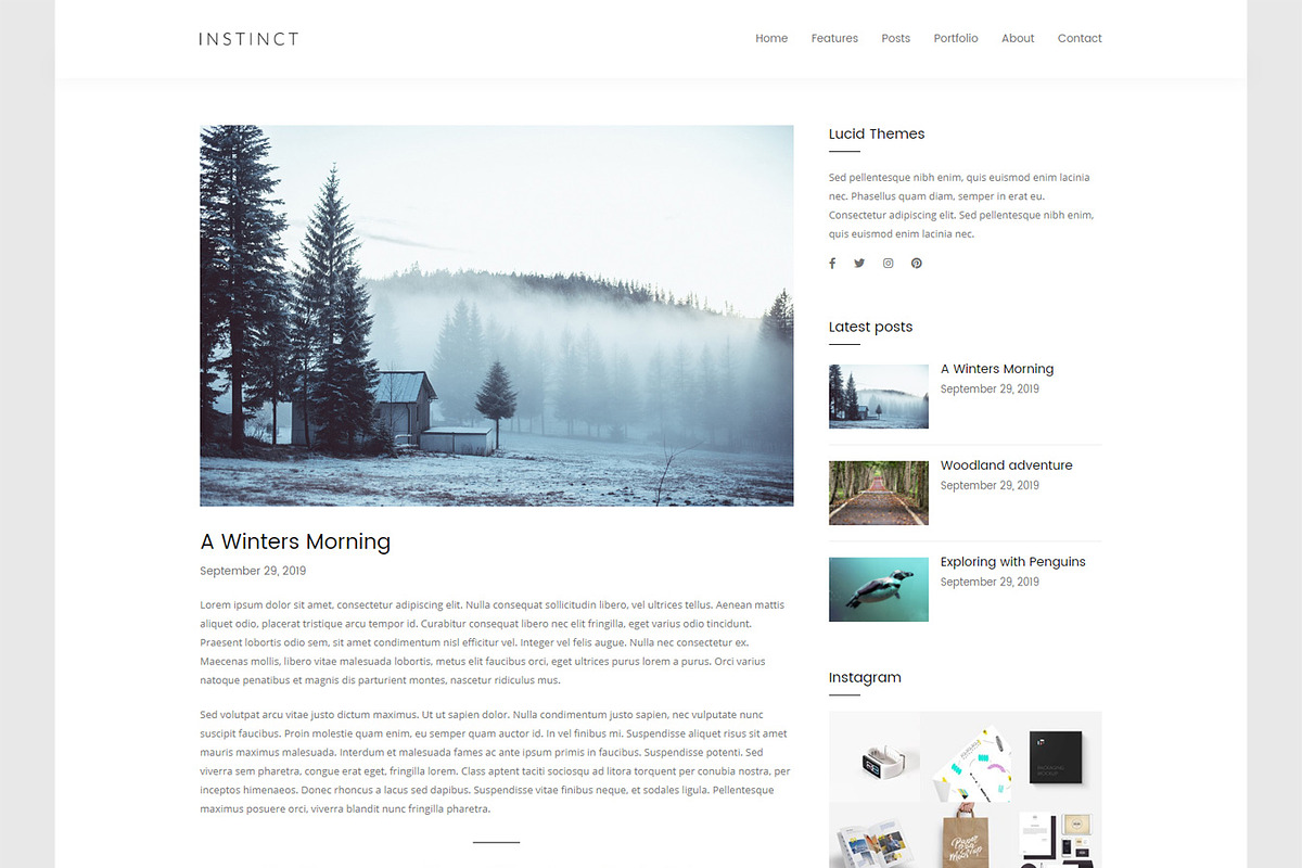 Instinct - WordPress Blog & Portfolio Theme