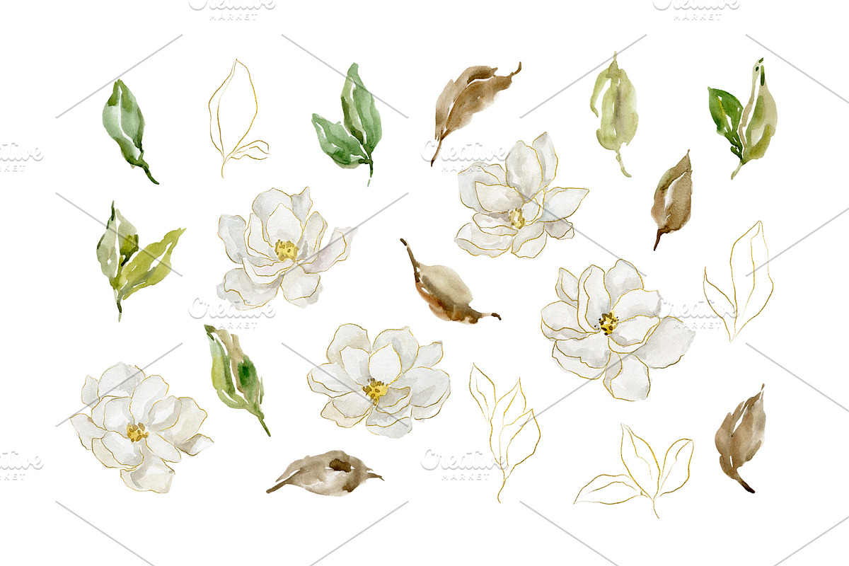 Watercolor & Gold Magnolia Flowers, an Illustration by GraphicsDish
