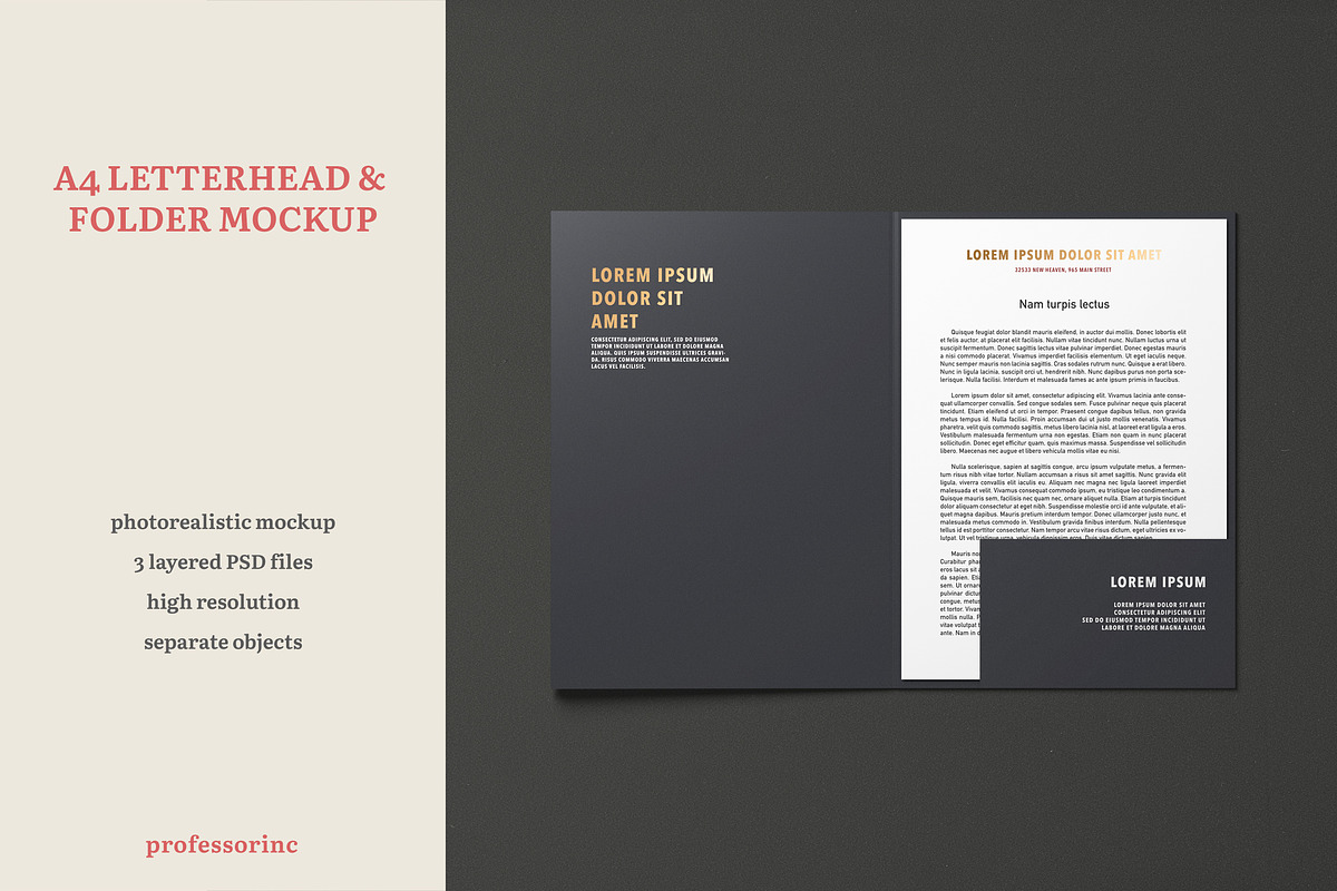 A4 Letterhead & Folder Mockup, a Print Template by professorinc