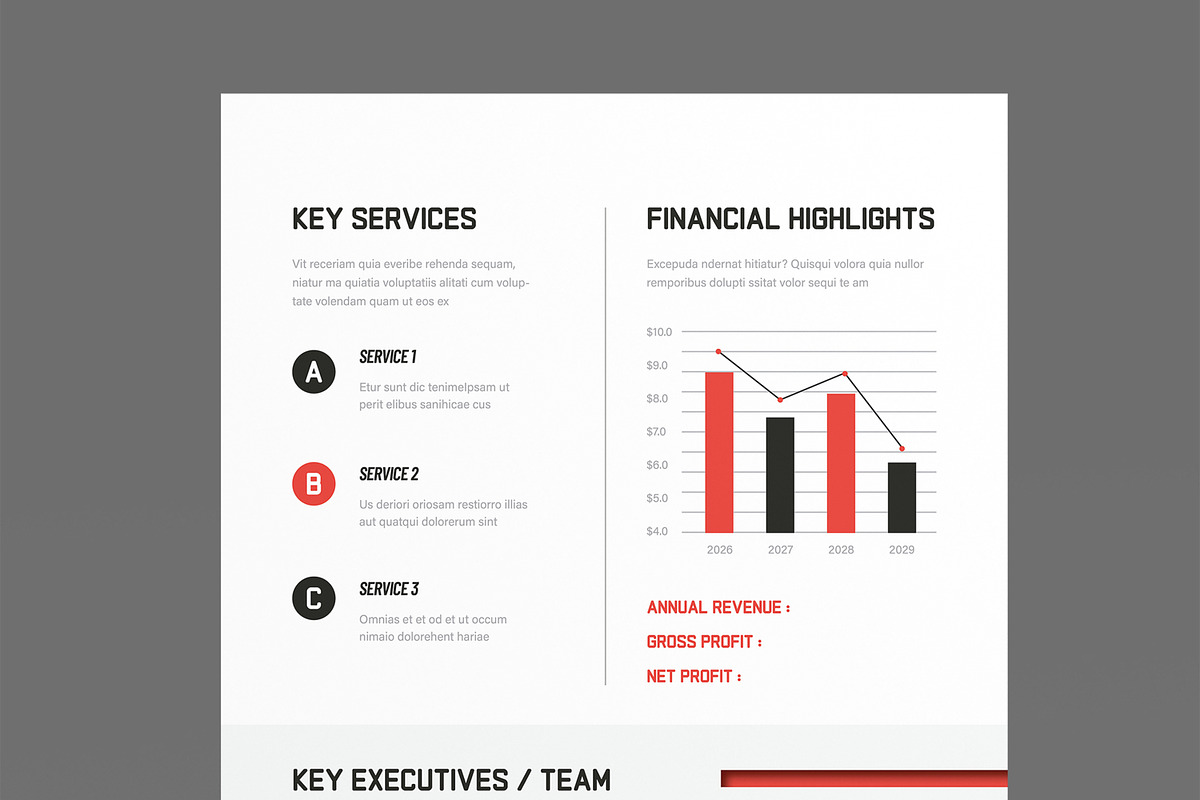 Clean Corporate Fact Sheet Design