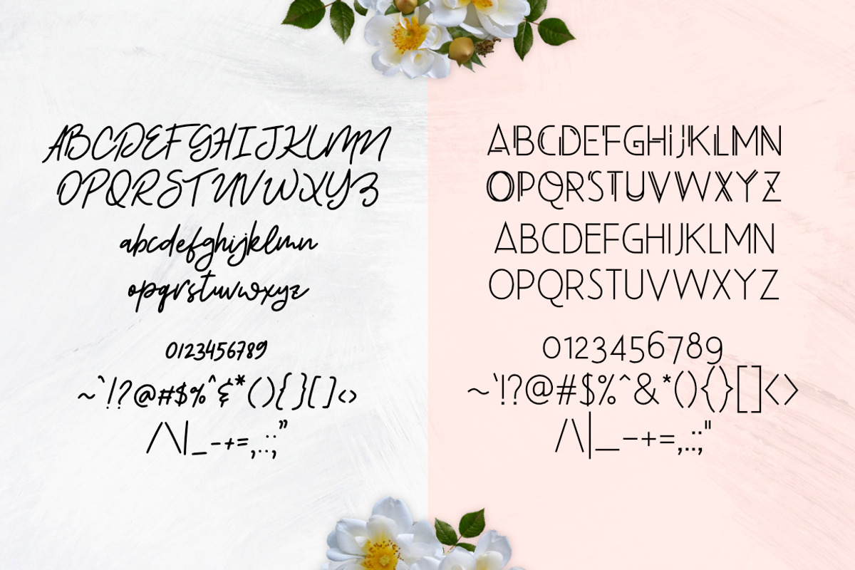 Beauty Salon Modern Font Duo, a Script Font by YandiDesigns