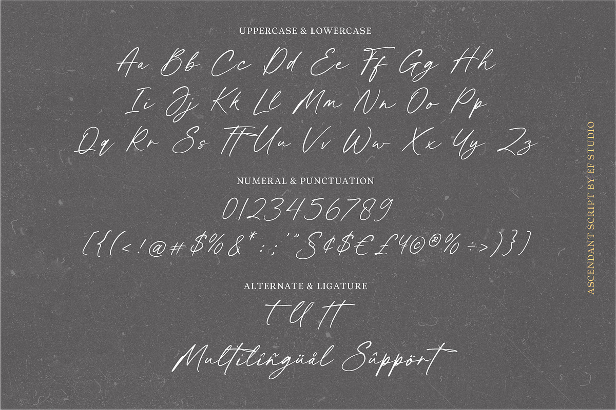 Ascendant | Font Duo