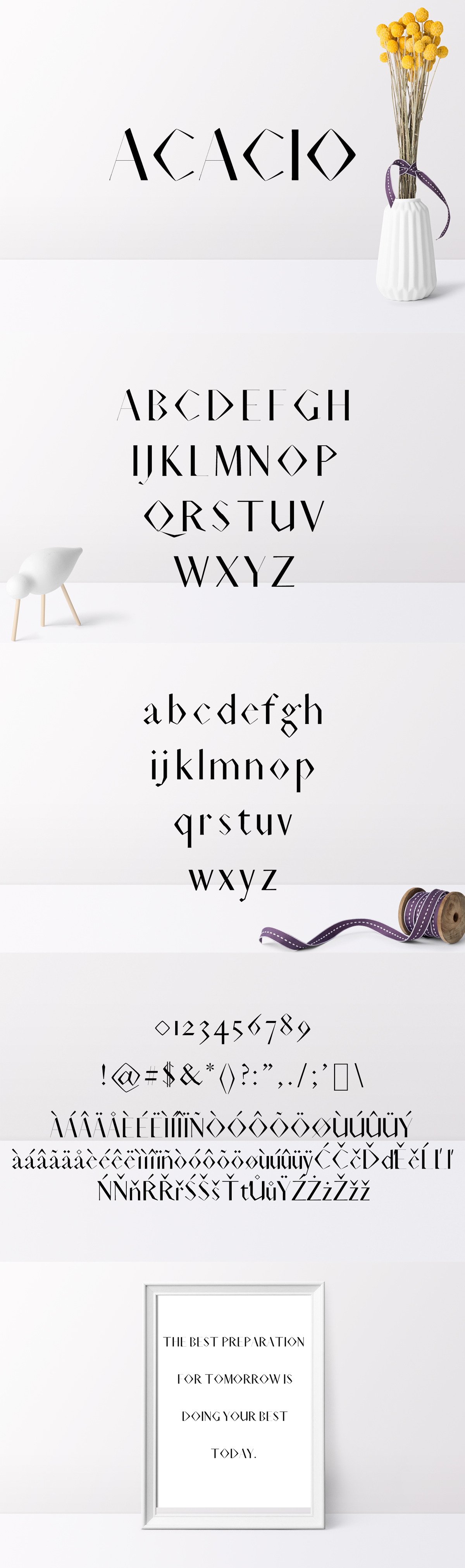 Acacio Serif Font Family Pack