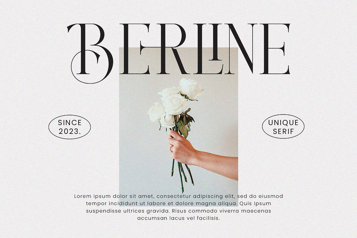 Saignh Serif Font, a Serif Font by Idea Studio