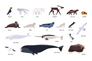 Polar animals set, an Animal Illustration by Good Studio