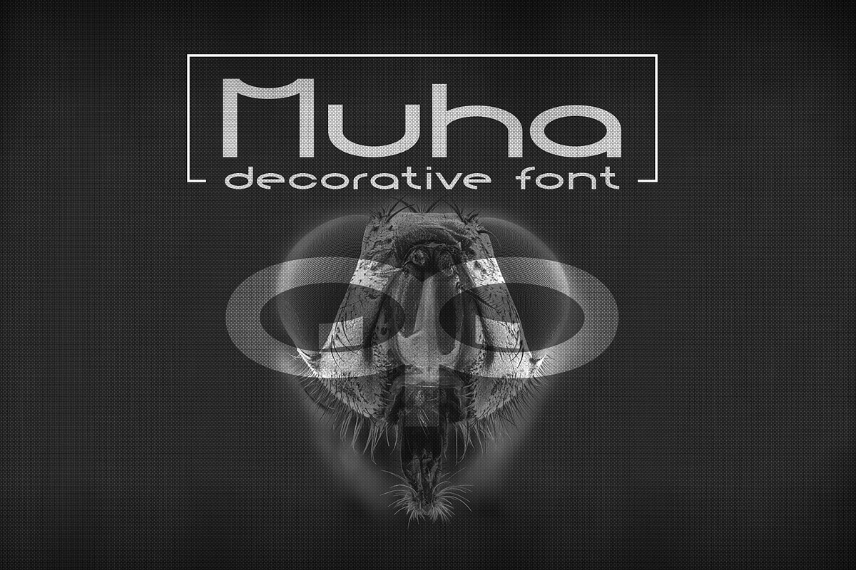 Muha-DF | Creative Market