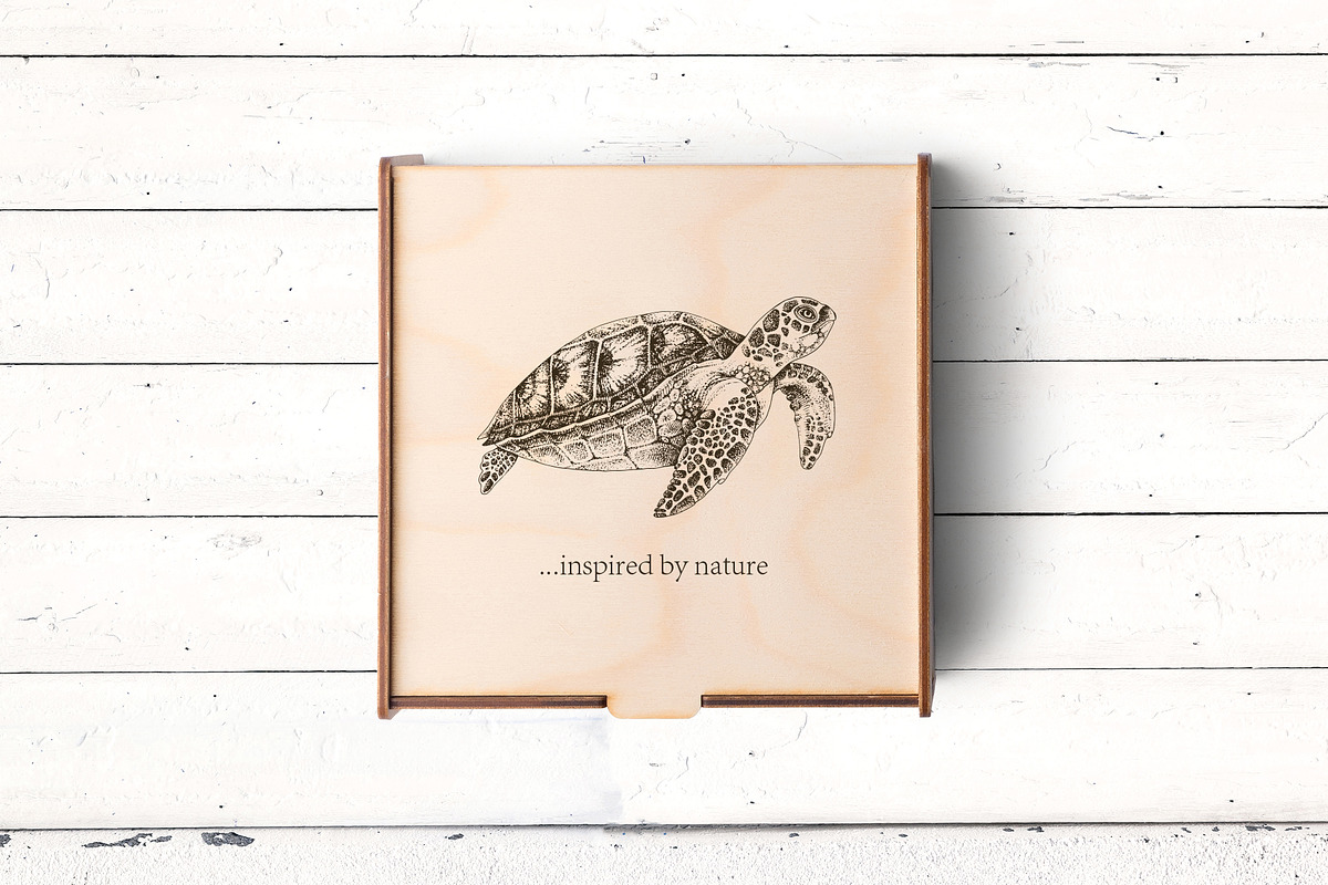 Sea turtle life cycle, an Object Graphic by handsketched