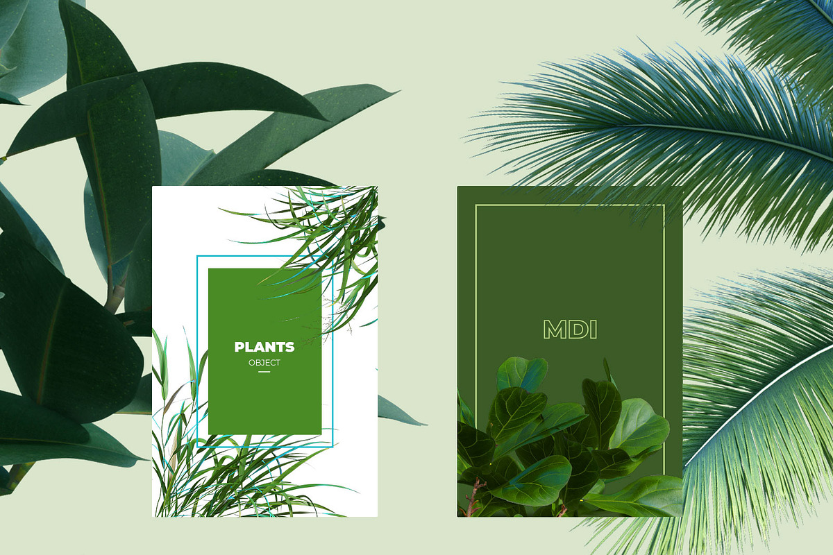NATURAL plants&stones collection #02, an Object Graphic by ARKS ACADEMY