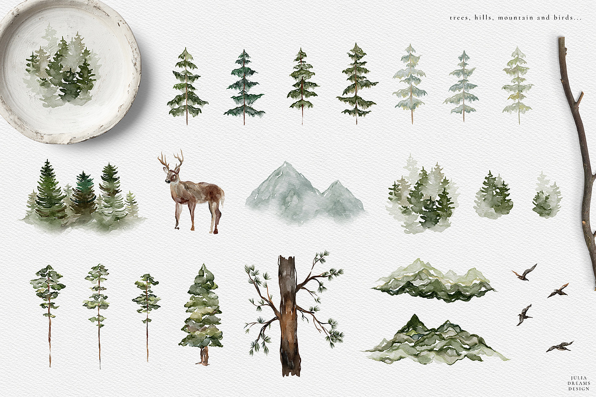 Forest Equilibrium Collection, an Animal Illustration by Julia Dreams