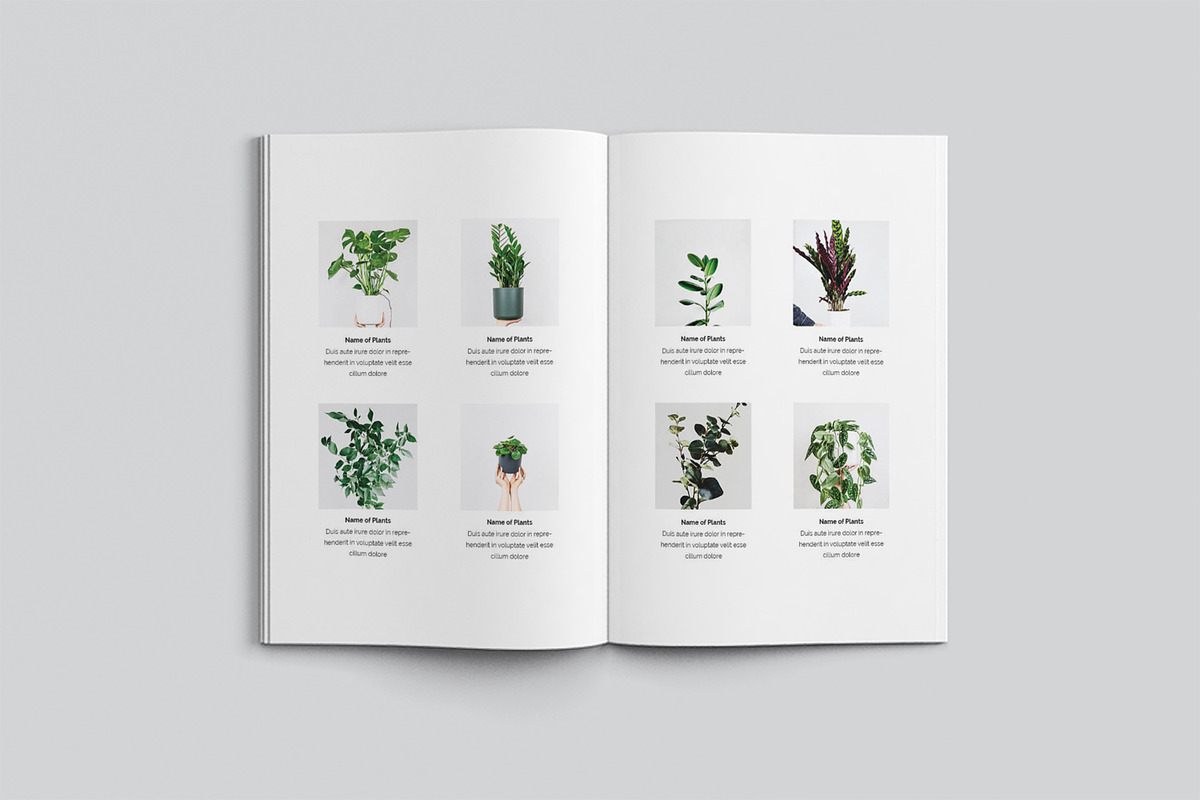 Plant Catalog, a Magazine Template by AQR Studio