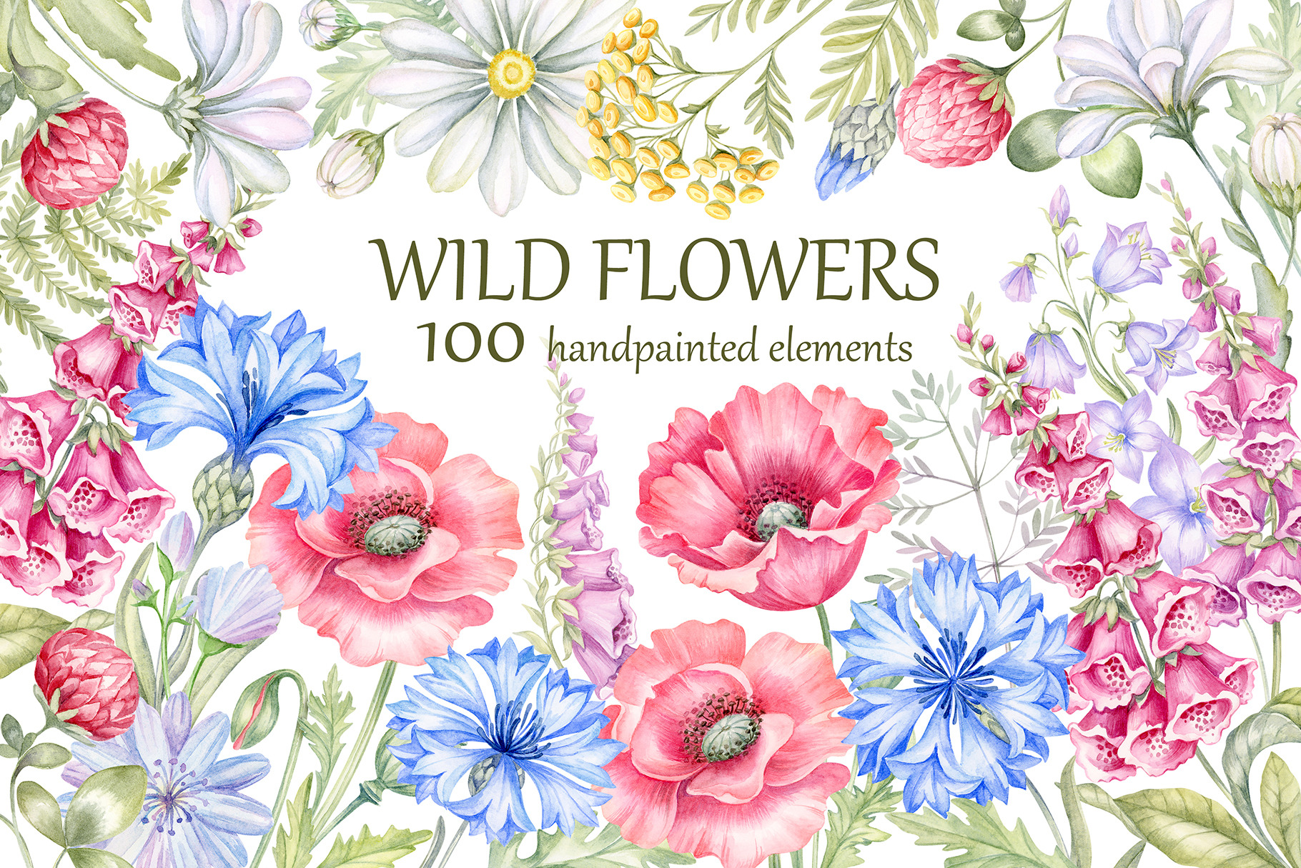 Wild flowers bundle Wildflower clipart