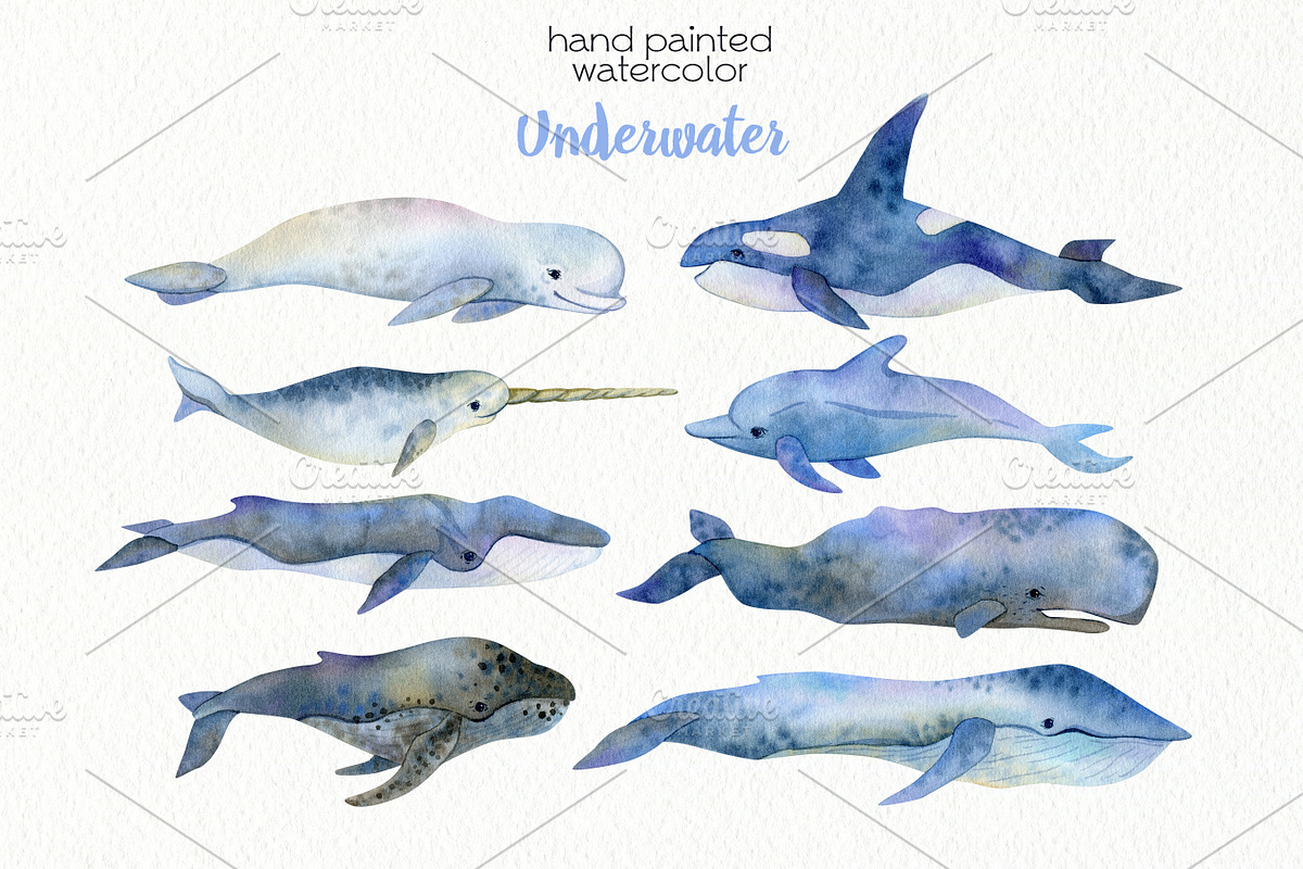 Watercolor Whales Clipart, an Illustration by OllyKo Art | Creative Market