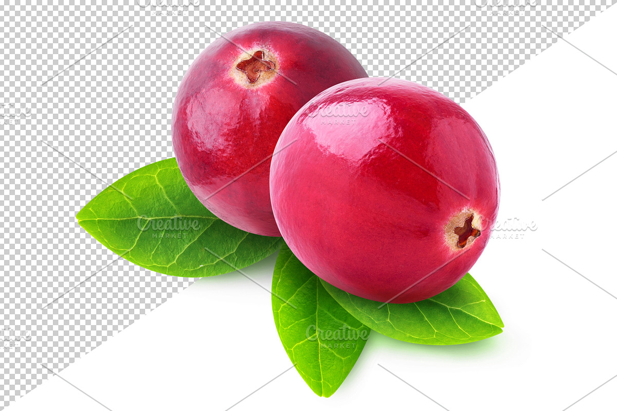 Cranberries, an Object Graphic by Fruits+Veggies