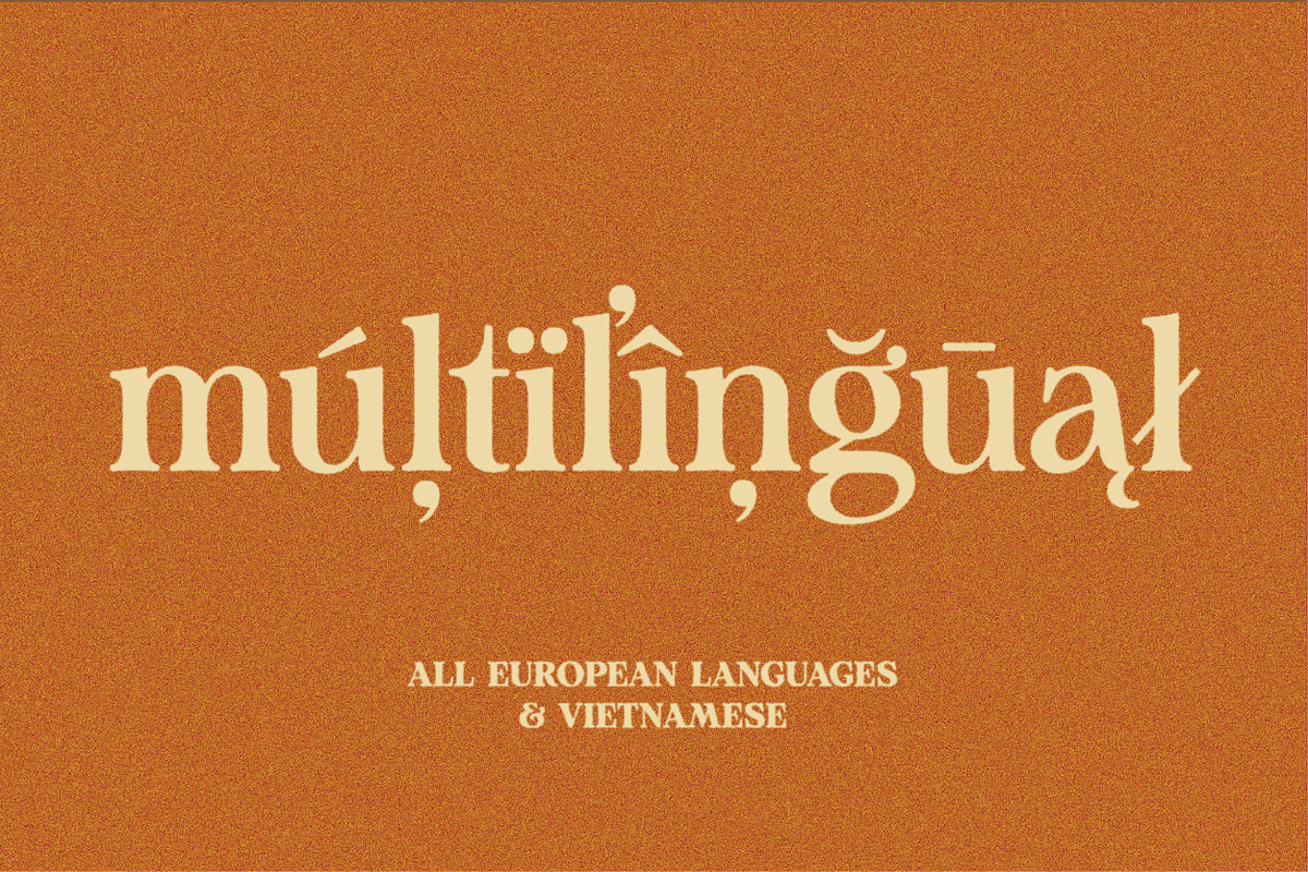 Analogue - Humanist Retro Serif, a Serif Font by Harmonais Visual