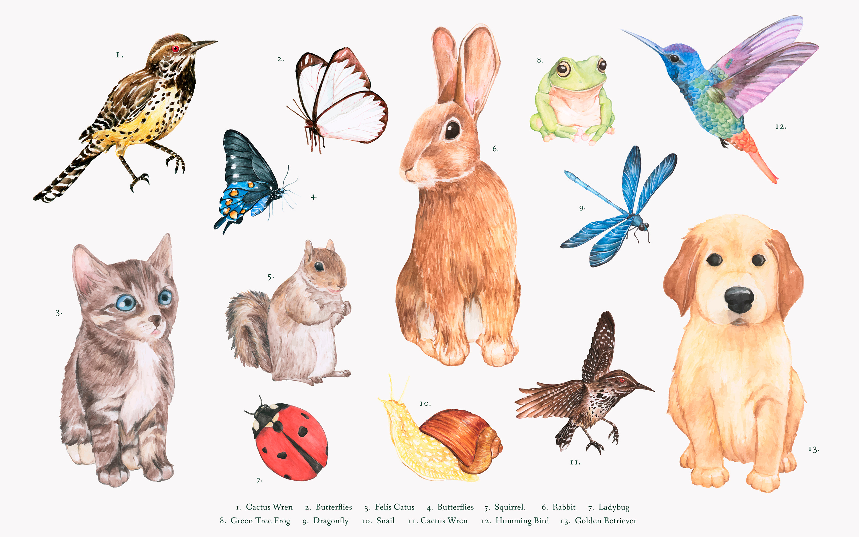 Hand drawn animal set, a Background Graphic by rawpixel