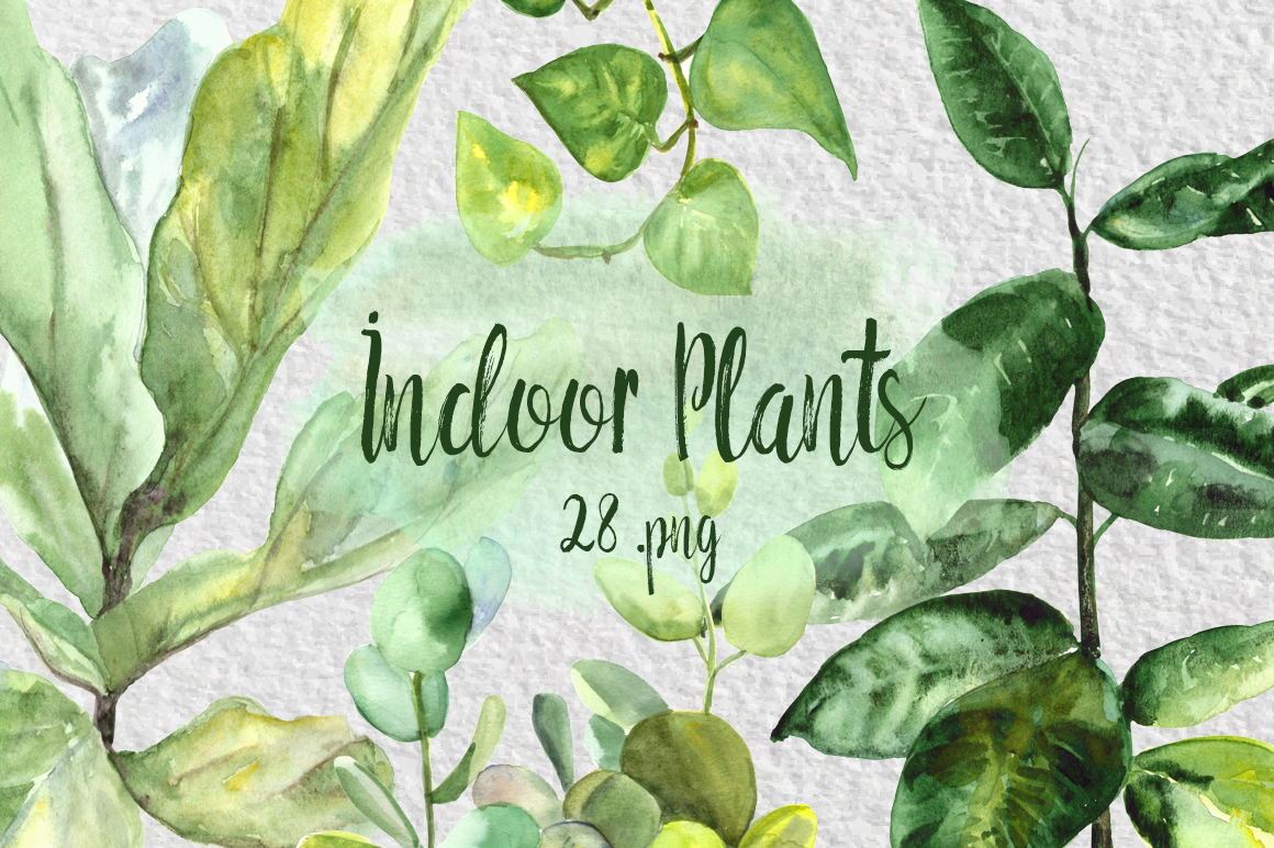Watercolor Indoor Plants Clipart Set, a Decorative Illustration by Tati ...