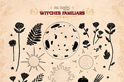 Witches Familiars, an Animal Illustration by Ink Stories