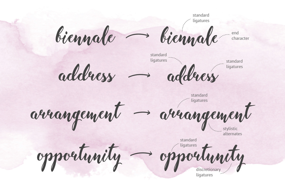 Alyssa Font Duo: Script & Sans Serif, a Script Font by KitsPix