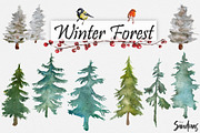Winter forest clip art, an Illustration by SandraGraphicDesign