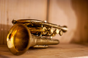 Trumpet containing entertainment, fun, and gold | Arts & Entertainment ...