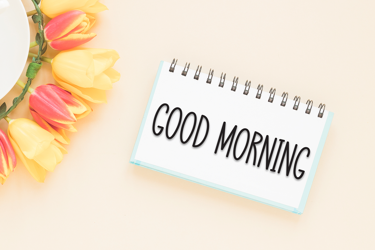 Grinch | Script Font, a Script Font by Scratchones