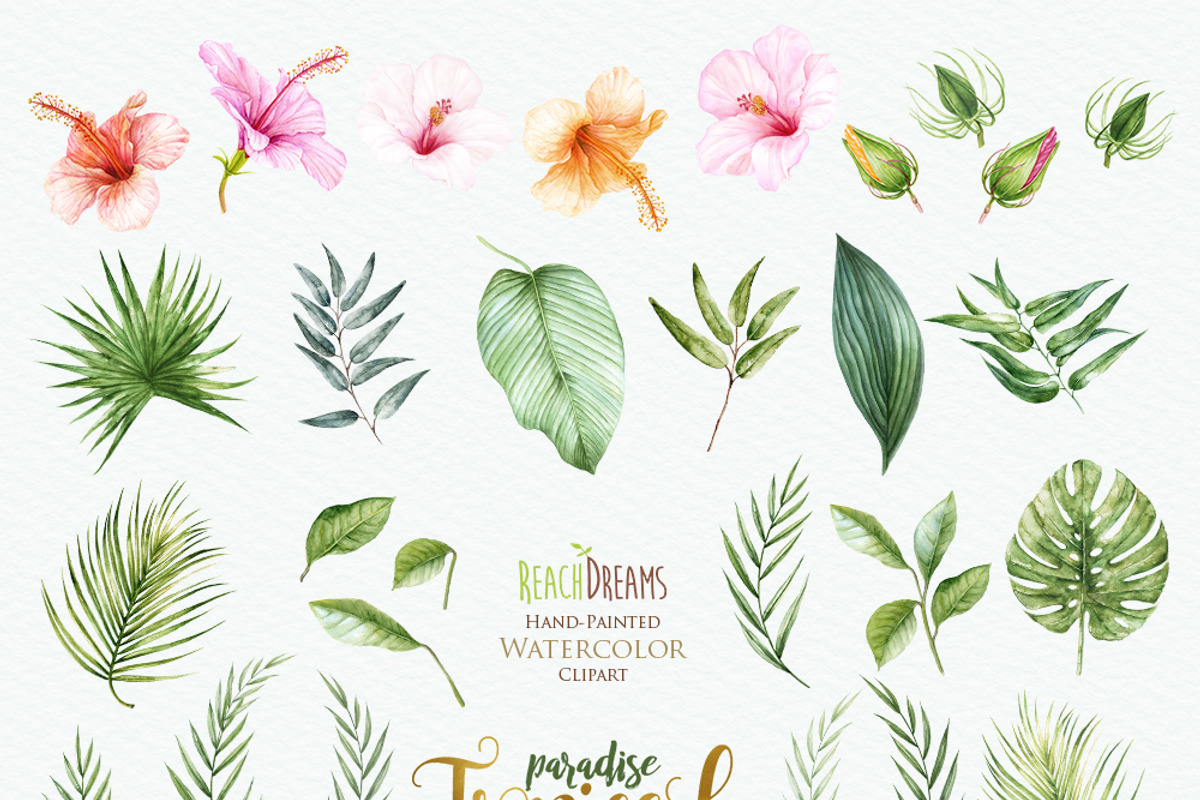 Tropical watercolor collection, a Decorative Illustration by ReachDreams