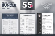 Resume/CV Bundle, a Resume Template by ThemeDevisers