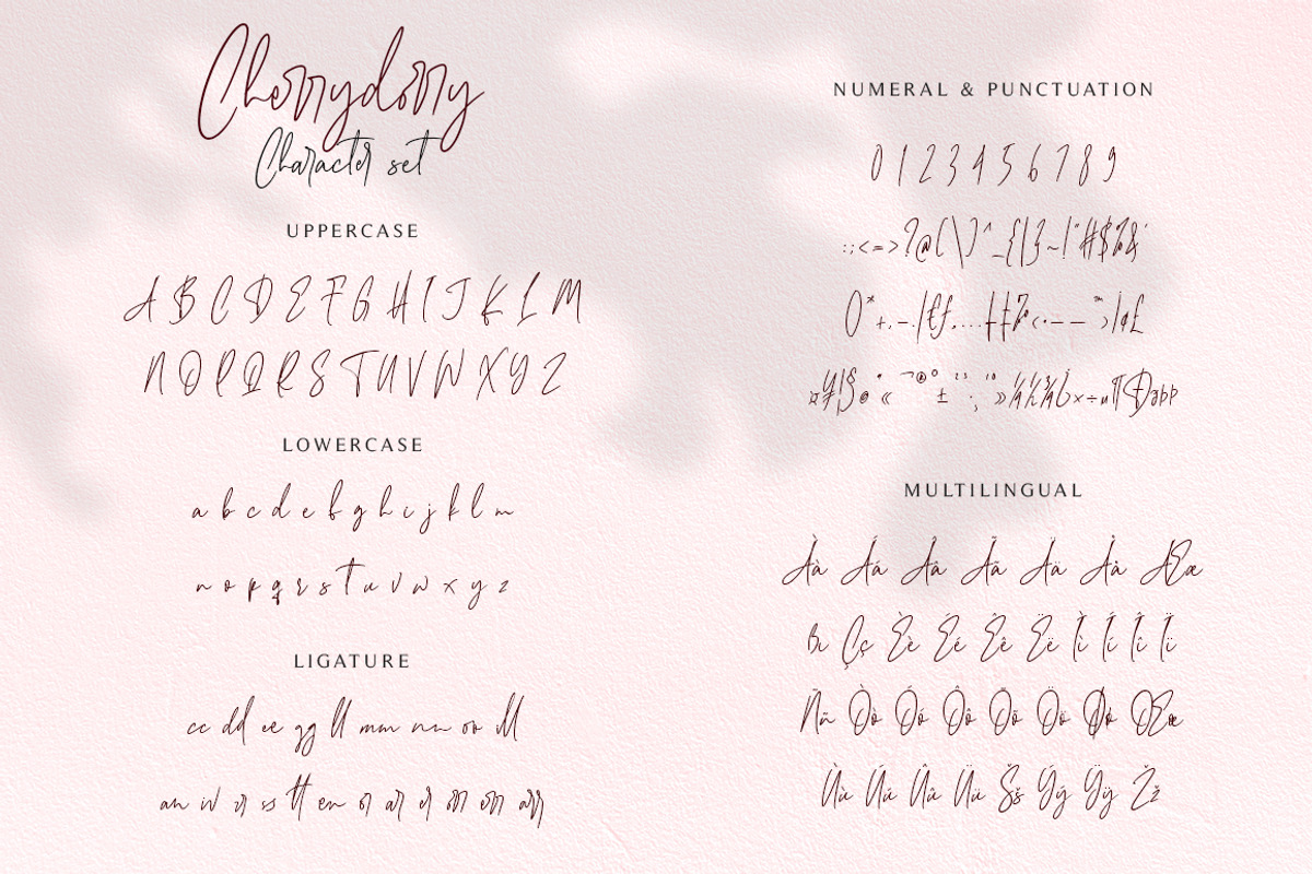 Cherrydorry - Chic Handwritten Font, a Script Font by Motokiwo