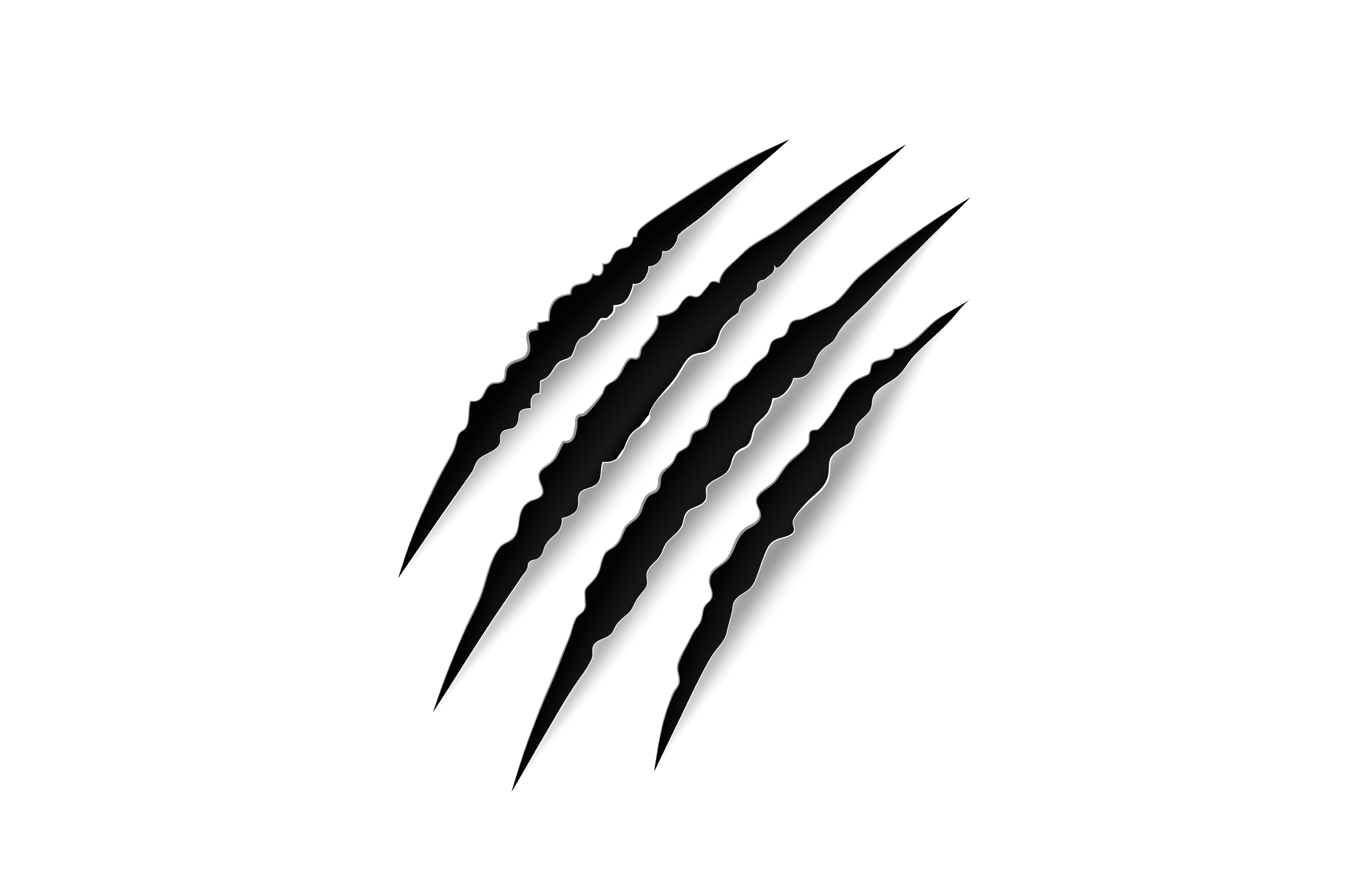 Tiger claw mark scratches, an Animal Illustration by Buch&Bee ...