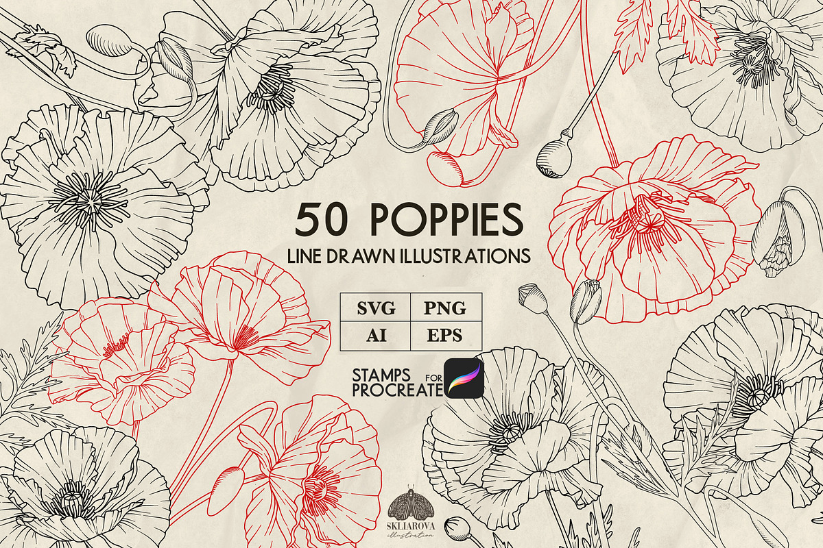 Poppies line art + Procreate, a Decorative Illustration by Skliarova