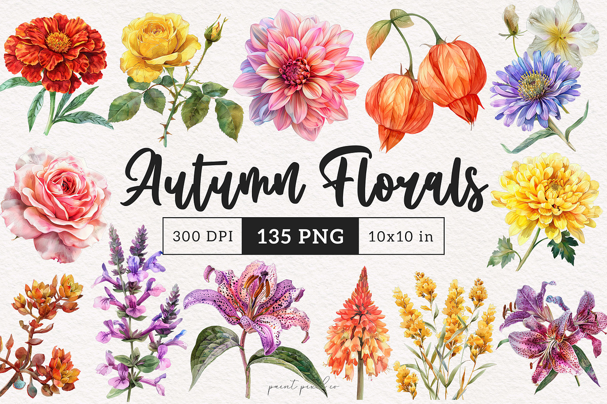 Autumn Flowers Clip art, a Decorative Illustration by PaintPixelCo