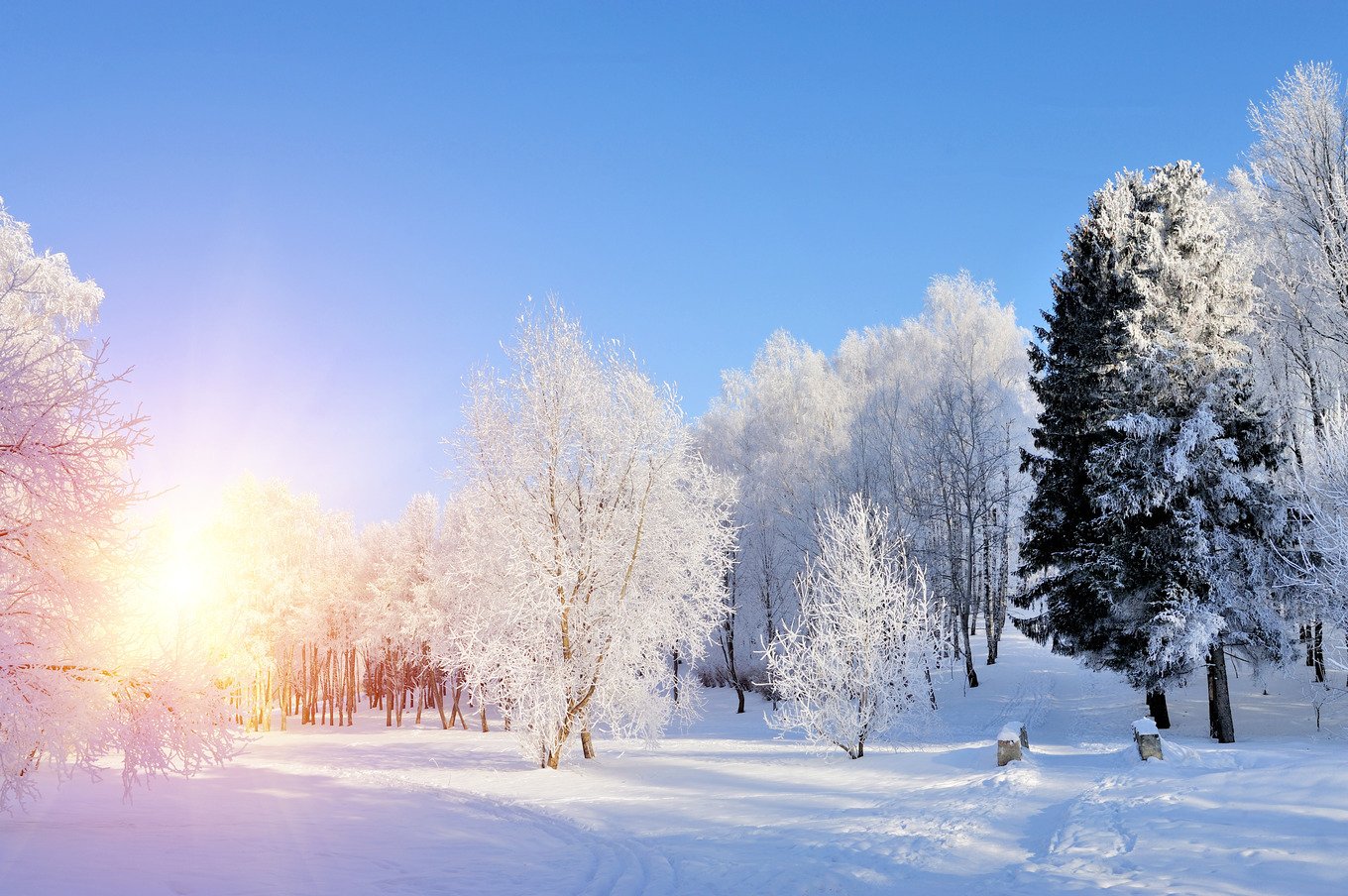 Winter landscape featuring winter, snow, and scene, a Nature Photo by ...