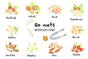 Watercolor Clipart Go Nuts, a Food Illustration by Corner Croft ...