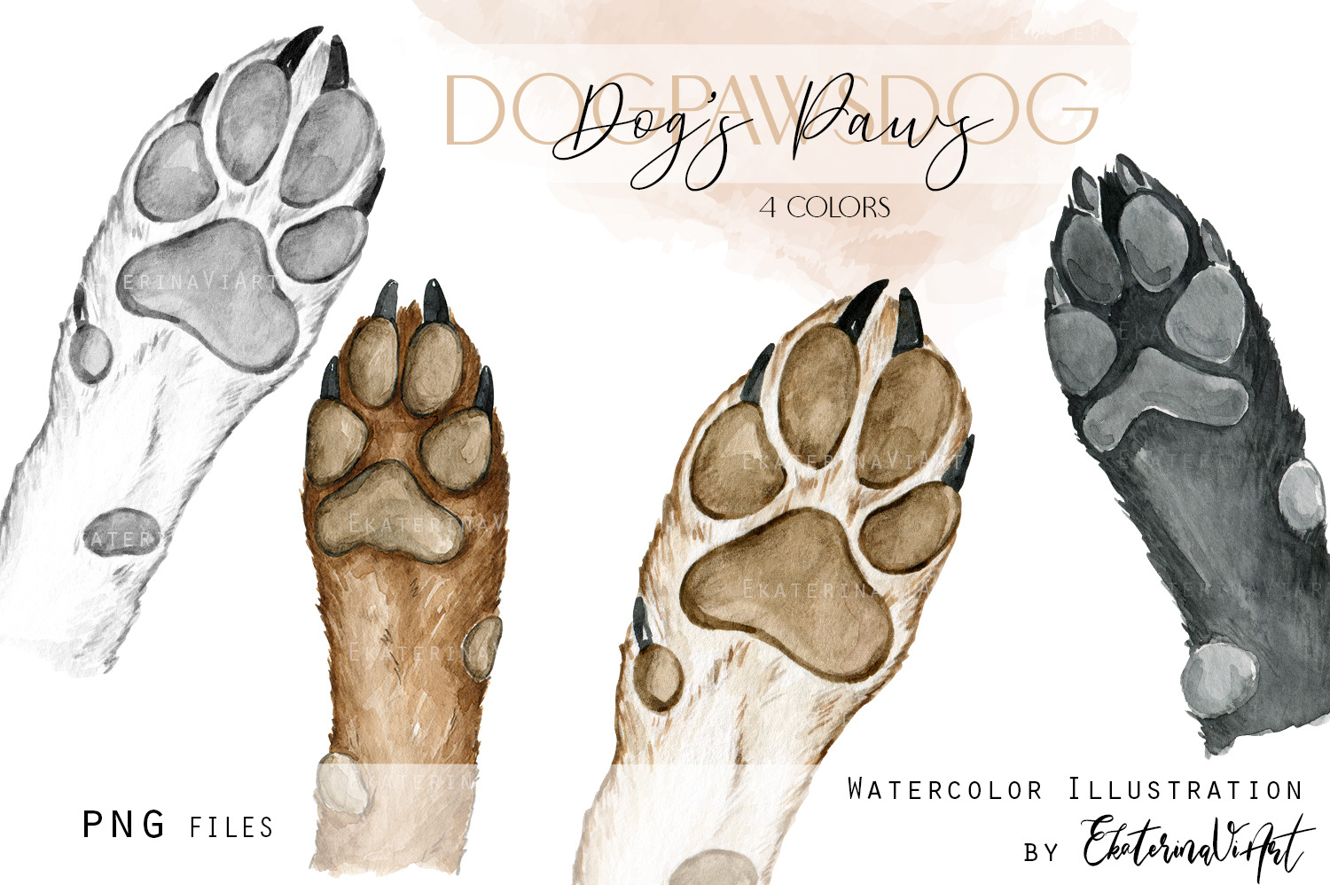 Dog's Paws 4 colors, an Animal Illustration by EkaterinaViArt