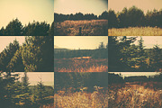 Retro Nature Background Pack, a Background Graphic by Viastock