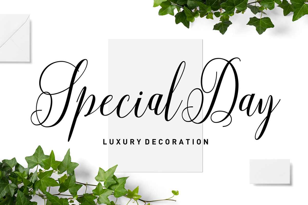 Aneisha Script, a Script Font by Solidtype